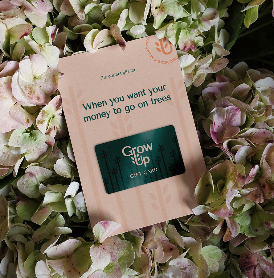 GrowUp | Avark Archive